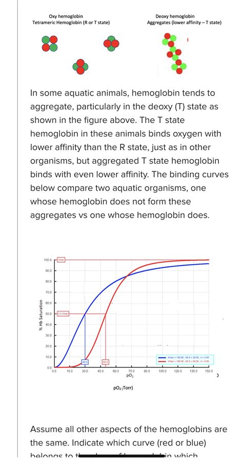 Solved Oxy Hemoglobin Deoxy Hemoglobin Tetrameric Hemoglobin R Or T