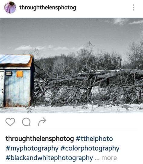 My Photography An Abandoned Shed With A Fallen Tree A Pop Of Color Instagram