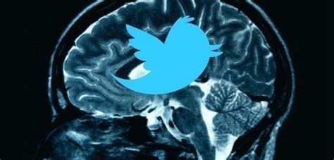 Posting On Social Networking Sites Engage Same Parts Of Brain As Sex Experts Say