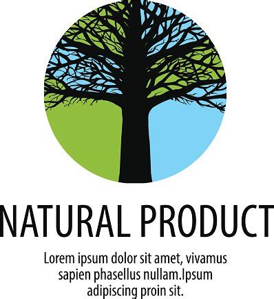 Tree Vector Logo Oak Icon Nature Ecology Symbol Natural Product Royalty Free Vector Stock