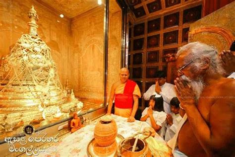 රාජ නියමයට අනුව ආදීවාසීන් මී පැණි පුදති Lankadeepa Online