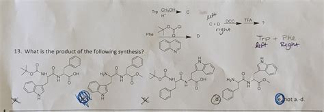 Solved What is the product of the following synthesis? | Chegg.com