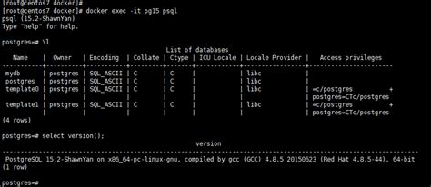 自定义 Dockerfile 构建 Postgresql 15 编译版 Docker 镜像postgres Docker镜像 Csdn博客