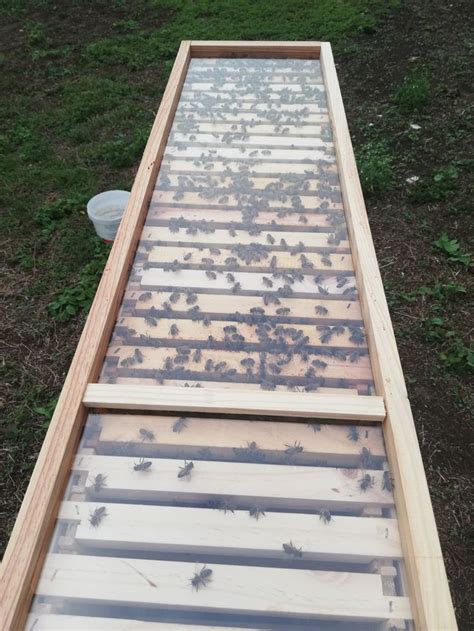 Bee Hive Plans For Beekeeping