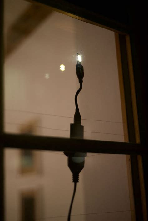 Mimose Philip Jan Krajewski