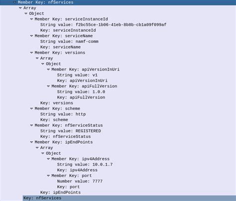 5gc The Network Function Repository Function Nick Vs Networking