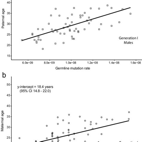 Estimating The Age When Germline Mutation Accumulation Rates Are Download Scientific Diagram