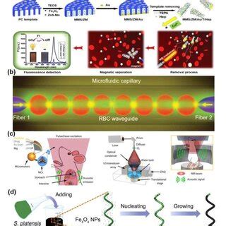 Different Driving Mode Of Micro Nanorobots A Self Propelled Download Scientific Diagram