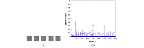 Sparse Representation Over Spatio Temporal Dictionary A Moving Download Scientific Diagram
