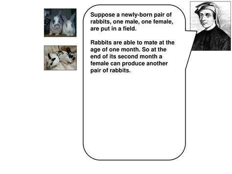 Ppt Fibonacci… And His Rabbits Powerpoint Presentation Free Download Id 245841