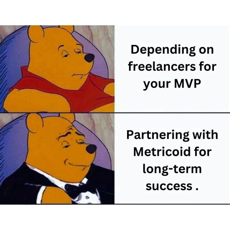 Metricoid Technology Solutions On Linkedin Techstartups Mvpdevelopment Freelancers