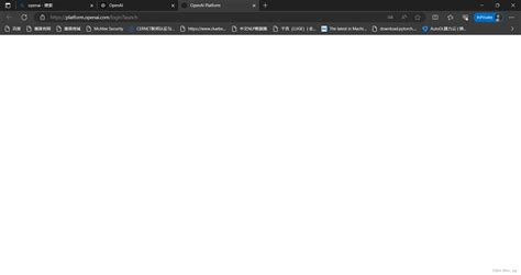 解决使用vpn和无痕浏览器时页面空白的技术问题 Csdn博客