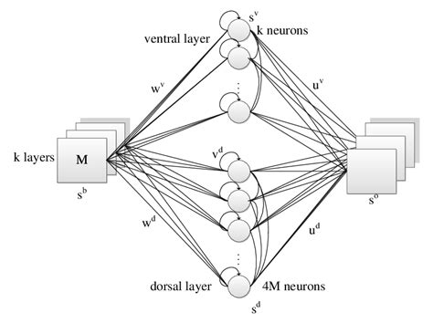 Network Architecture Download Scientific Diagram