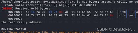关于ret2libc 的泄露 puts 64位 write 32位） ret2libc write csdn博客