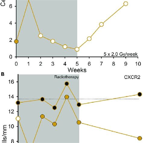 CXCR2 Upregulation In Melanocytes Upon Radiation Exposure Upregulation Download Scientific