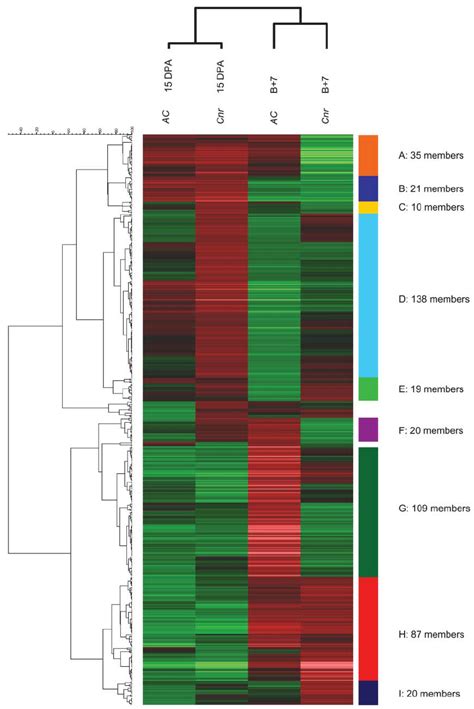 Hierarchical Clustering Of Genes And Samples Of Wild Type And Cnr