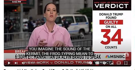 Kermit Typing Meme Referenced During Trump Verdict On Msnbc Album On