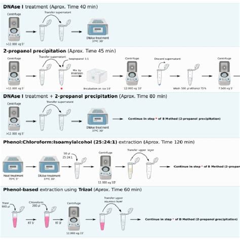 Rna Extraction Methods Tested Download Scientific Diagram
