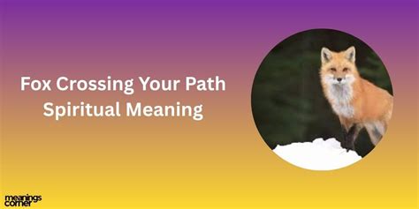 Spiritual Meaning Of Fox Crossing Your Path 2026