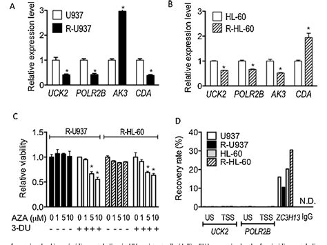 Figure 4 From Constitutive Activation Of The Atm Brca1 Pathway Prevents