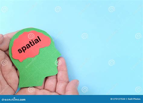 Spatial Intelligence In Psychology Concept Hand Holding Human Head