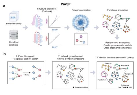 Wasp A Pipeline For Functional Annotation Based On Alphafold Structural Models Giorgia Del