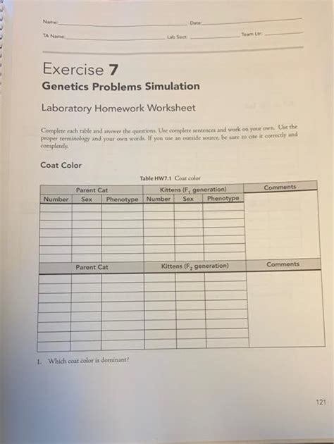 Solved Name Date TA Name Lab Sect Team Exercise Genetics Chegg Com