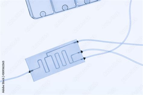Organ On Chip OOC And Lab On Chip LOC Microfluidic Device Chip That Simulates Biological