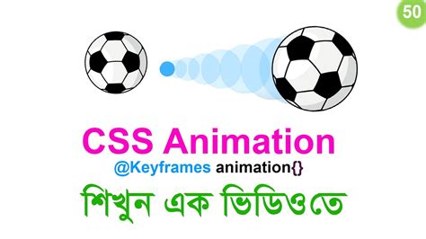 50 Css Animation Tutorial Basic To Advanced Animation Effects Css