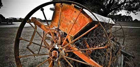 Gallery Artists Stellas Gallery And Frame Making Services