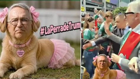 ¿quién Es La Perrita De Trump Y Por Qué Es Tendencia En Redes Sociales