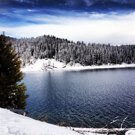Pin By Teri Granata Hunt On California Roots Shaver Lake Natural