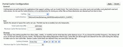 Monitoring And Administering Oracle Portal