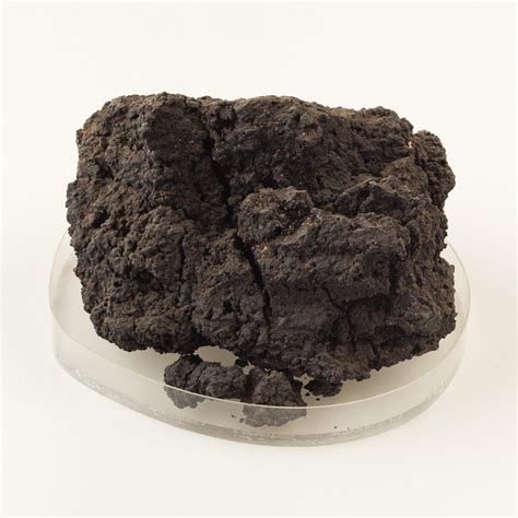 3 500 Year Old Fruit Cake From The Tomb Of Hatnefer And Ramose Thebes Egypt 1492 1473 Bc