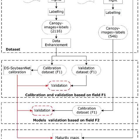 Flowchart Of The Experimental Methodology Download Scientific Diagram