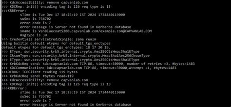 Spring Boot How To Configure Jetty 12 Client With