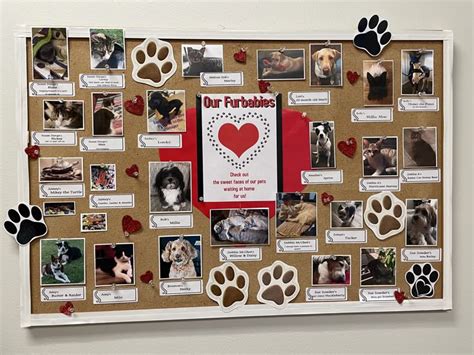 Pin By Pamela Zimmerman Dawald On Work Bulletin Boards Vet Office