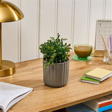 Lifelines Plant Diffuser