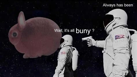 Bnuuy Know Your Meme