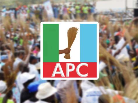 Oyo Apc Chairman Dies In Us Daily Trust