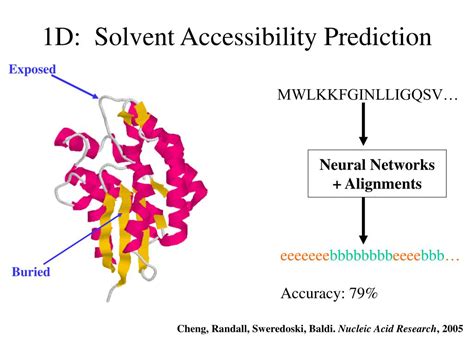 Ppt Machine Learning Algorithms For Protein Structure Prediction Powerpoint Presentation Id