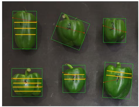 How To Draw Lines Parallel To The Width Of Minimum Area Rectangle Joing Opposite Contour Points
