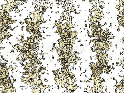 Fractal Complex Patterns Mandelbrot Set Detail Digital Artwork For