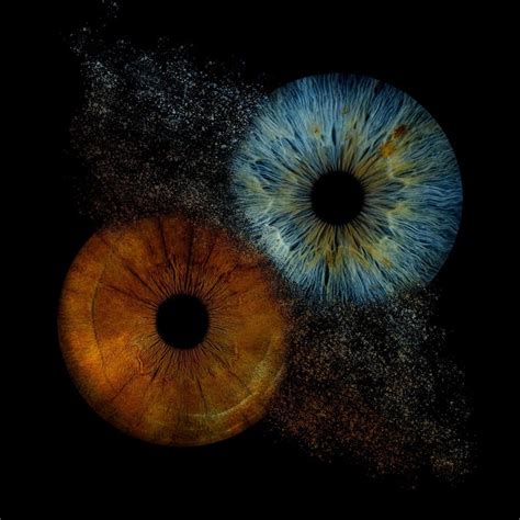 I Saw Someone Posting His Iris So Here Is Me And My Girlfriend Rpics