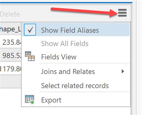 Certain Fields From Attribute Table Not Displaying Esri Community