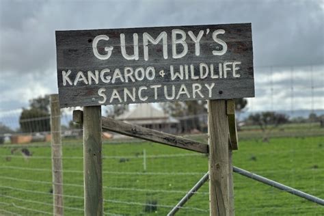 Gumbys Kangaroo And Wildlife Sanctuary Owner Faces Eviction With 90