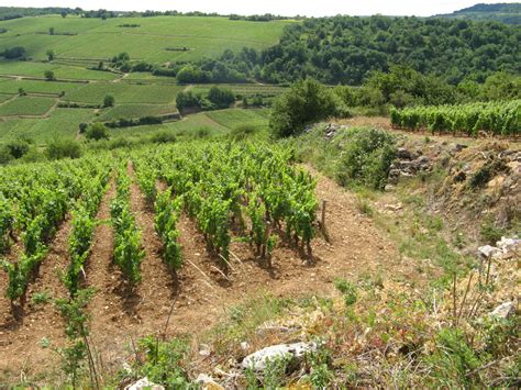 Domaine Marc Colin Aps Wine And Spirits