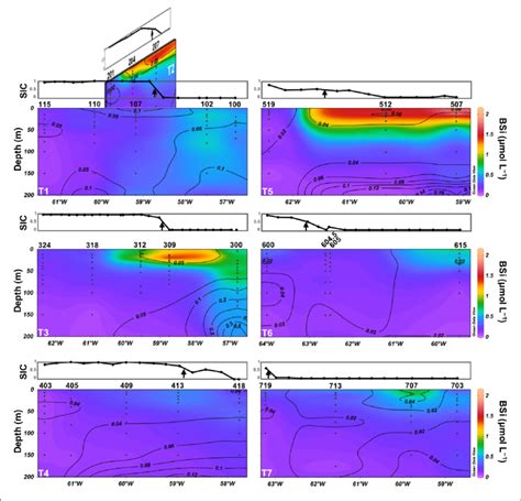 Vertical Distribution Of Biogenic Silica Concentrations Along The Seven Download Scientific