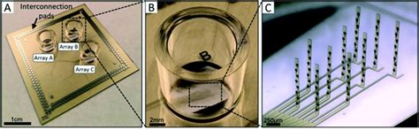 A 3 Dimensional In Vitro Flexible Microelectrode Array Mea