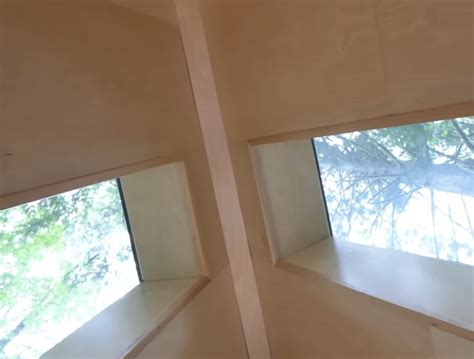 Man Builds A Frame Cottage Wedged Up In The Trees For Beautiful Experience